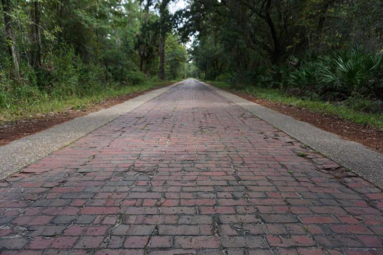 Roadside History: Pershing Highway in Tiger Bay State Forest | FLORIDA ...