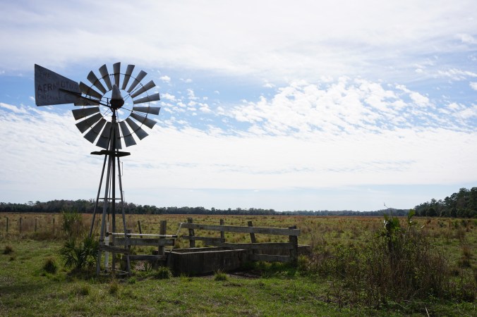 Old Windmill at Charles H. Bronson State Forest | FLORIDA TRAILBLAZER