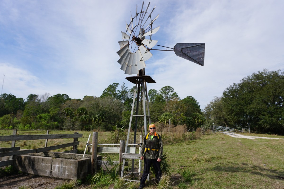 Old Windmill at Charles H. Bronson State Forest | FLORIDA TRAILBLAZER