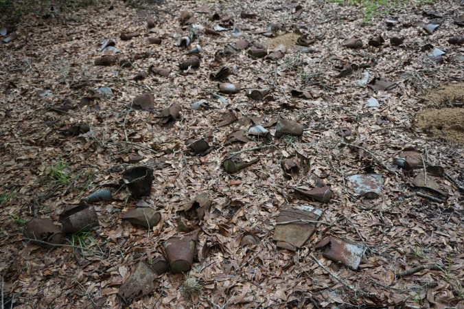 Turpentine History | FLORIDA TRAILBLAZER