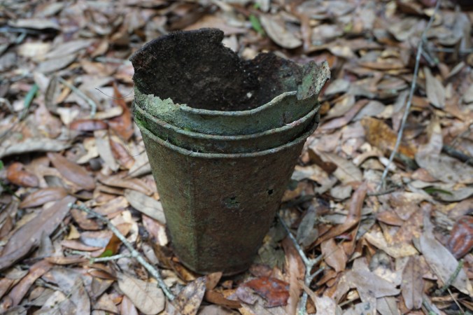 Turpentine History | FLORIDA TRAILBLAZER