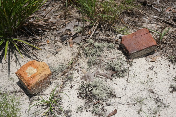 Turpentine History | FLORIDA TRAILBLAZER