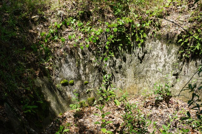 Turpentine History | FLORIDA TRAILBLAZER