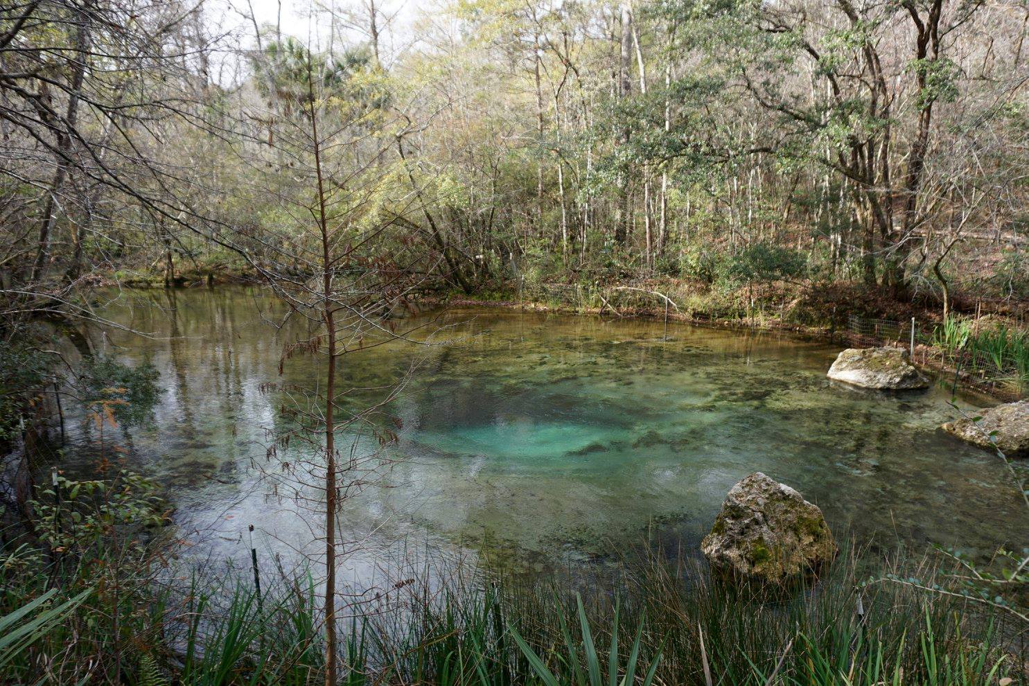 Williford Spring in Washington County | FLORIDA TRAILBLAZER