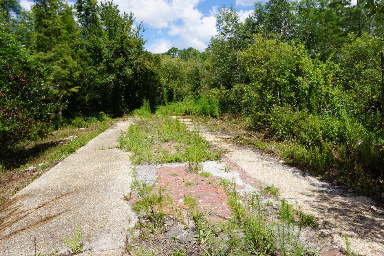 Pershing Highway in Tiger Bay State Forest (Interpretive Trail ...