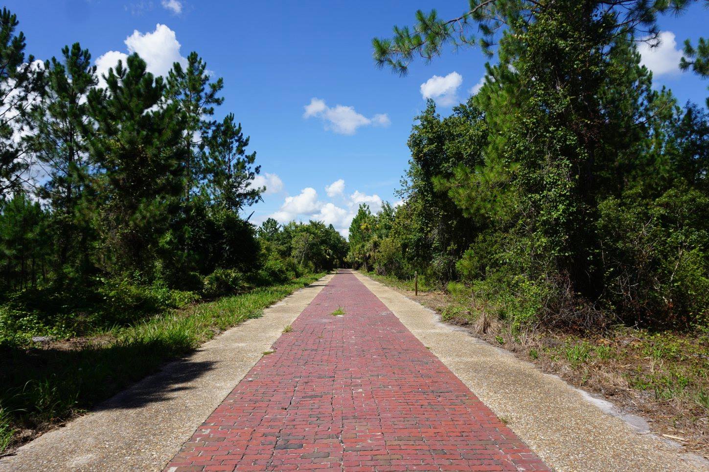 Pershing Highway in Tiger Bay State Forest (Interpretive Trail ...