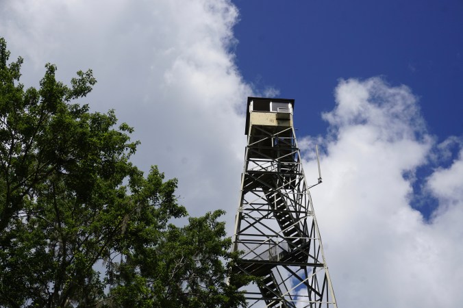 Abandoned Richloam Fire Tower in Withlacoochee State Forest | FLORIDA ...
