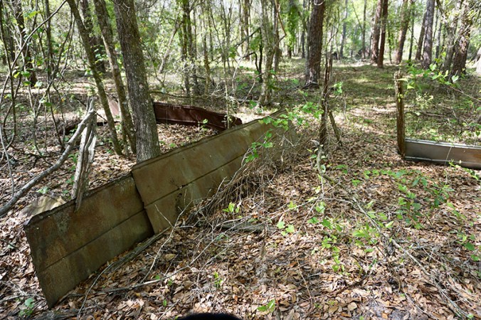 Abandoned Homestead Site in The Green Swamp Wilderness Preserve ...